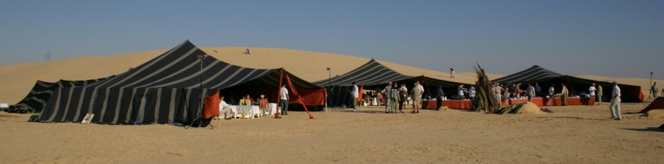 Tunisie Authentique: culture, bivouac et chameliers (1 nuit au désert ...